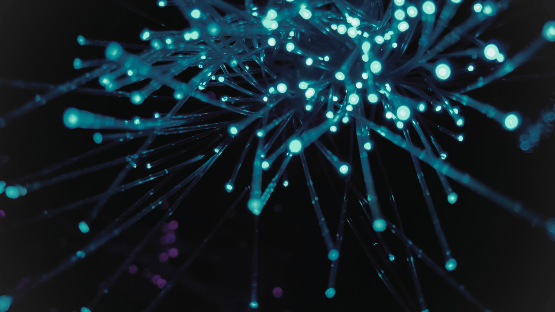 Leveraging Technology Models for Digital Trust - Corporate Group